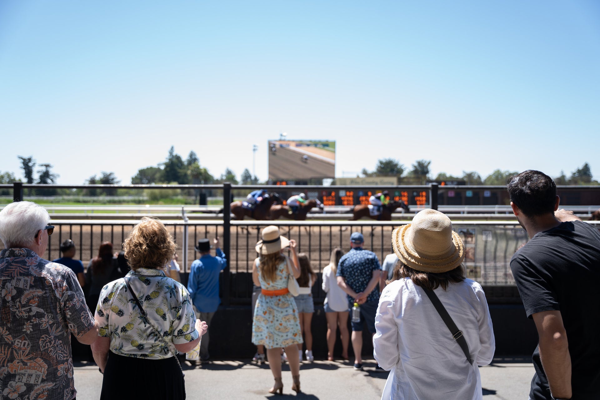 Wine Country Horse Racing – Sonoma County Fair And Event Center