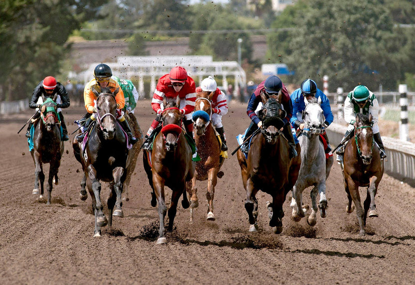 Sonoma County Fair And Event Center